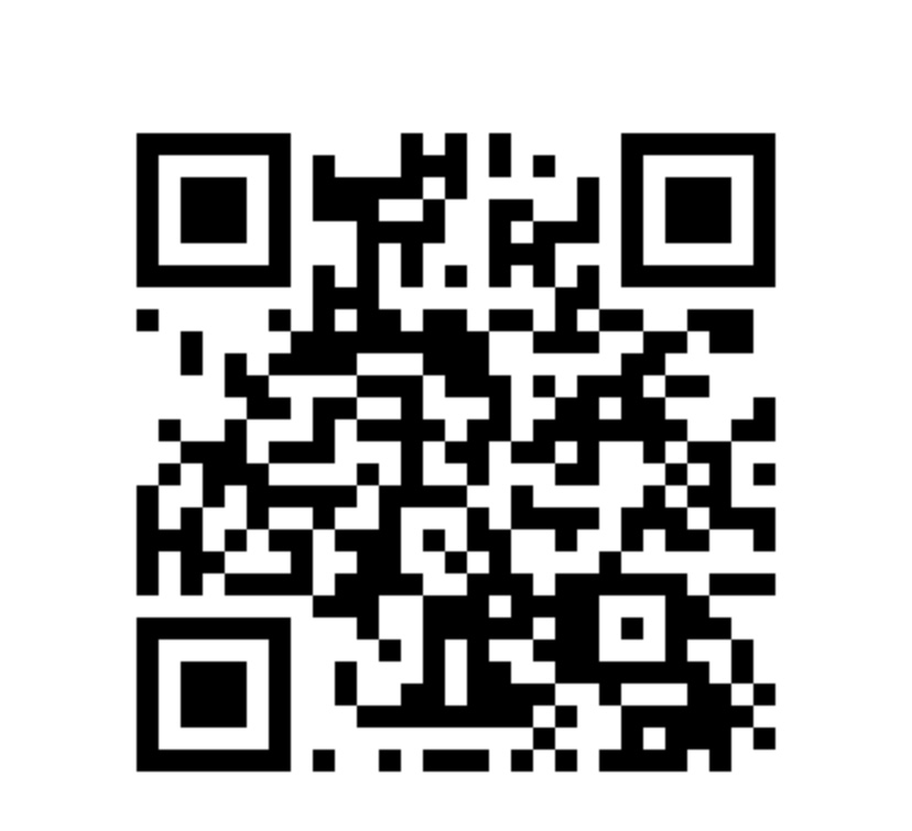 PS 101 The Verrazzano School | The 101 Experience: Where Kids Thrive!