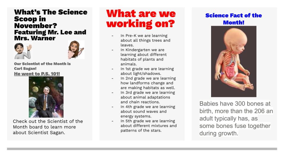The Science Scoop – November 2025 | PS 101 The Verrazzano School